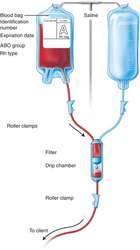 Blood transfusion | definition of blood transfusion by Medical dictionary
