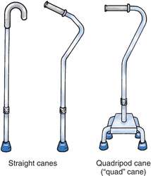 Canes | definition of canes by Medical dictionary