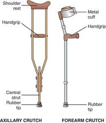 Crutch | definition of crutch by Medical dictionary