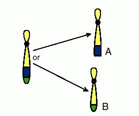 Deletion | definition of deletion by Medical dictionary