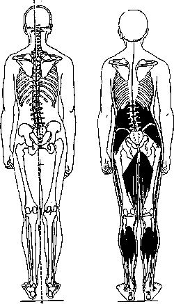 Handedness posture | definition of handedness posture by Medical dictionary