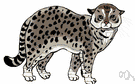 Felis - definition of Felis by The Free Dictionary