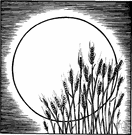 Grainfield - definition of grainfield by The Free Dictionary