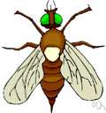 Trypetidae - definition of Trypetidae by The Free Dictionary