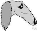 Greyhound - definition of greyhound by The Free Dictionary