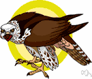 Falconry - definition of falconry by The Free Dictionary