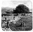 Shiloh - definition of Shiloh by The Free Dictionary