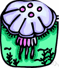 Coelenterates - definition of Coelenterates by The Free Dictionary