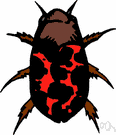 Ladybird - definition of ladybird by The Free Dictionary