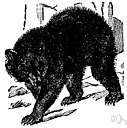 Ursus - definition of Ursus by The Free Dictionary