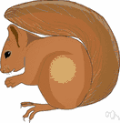 Lagomorph - definition of lagomorph by The Free Dictionary